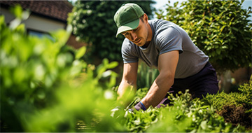 Edmonton Gardeners - Local Gardeners