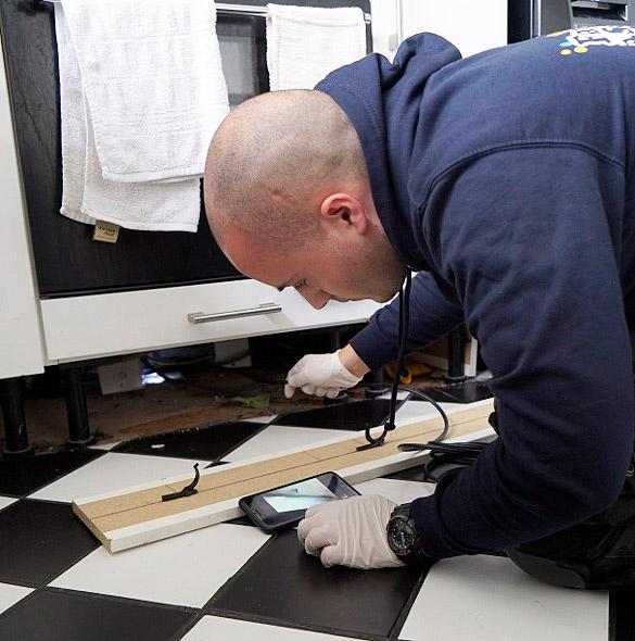 Emergency Mice Control in London| Mouse Exterminator 24/7