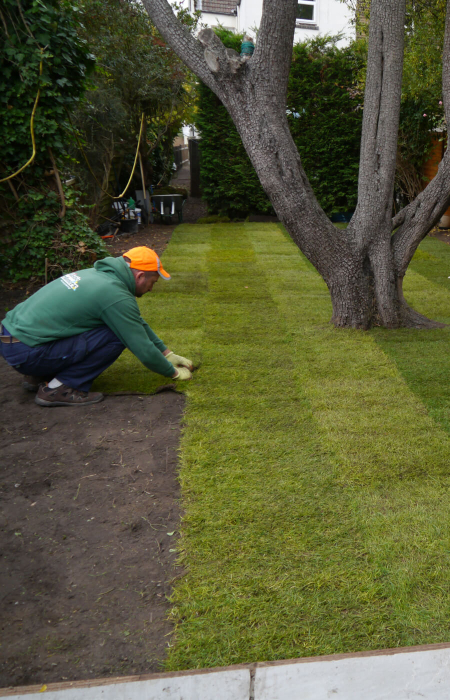 Fantastic Services: Garden design and landscaping for a fresh garden