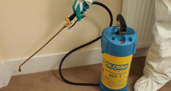 Pest Fumigation | Fumigation Services London