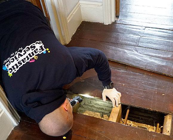 Emergency Mice Control in London| Mouse Exterminator 24/7