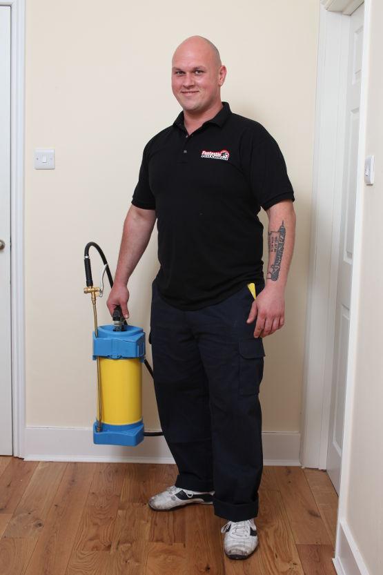 Rat Control Services London | Get Rid of Rat Infestation