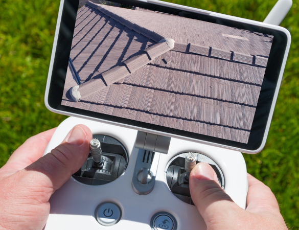 Bird Treatment and Proofing London | Pigeon Control and Removal