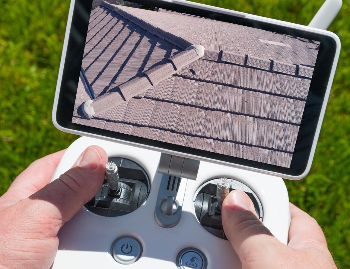 Bird Treatment and Proofing London | Pigeon Control and Removal