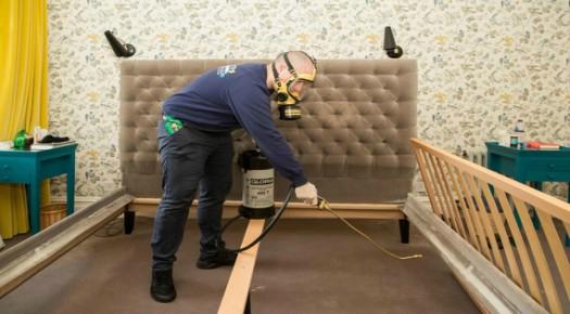 Best Pest Control in Romford | Pest Control Experts Near You