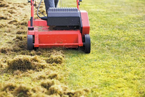 Lawn Scarification Service in London | Fantastic Services