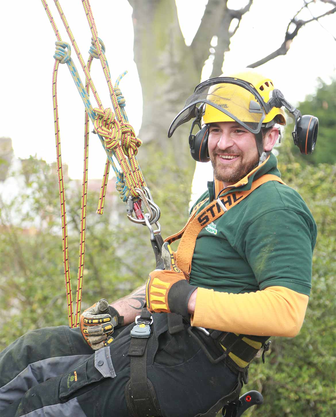 Professional Tree Trimming and Pruning in London | Fantastic Services