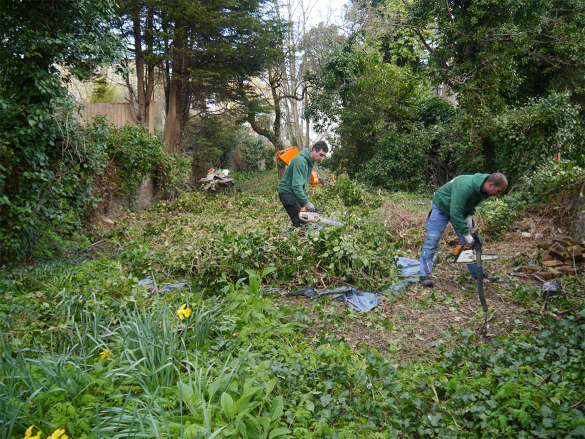 Green Waste Removal Services London | Fantastic Services