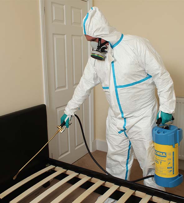 Rapid Pest Control in Kensington | Safe Treatments & Guaranteed Results