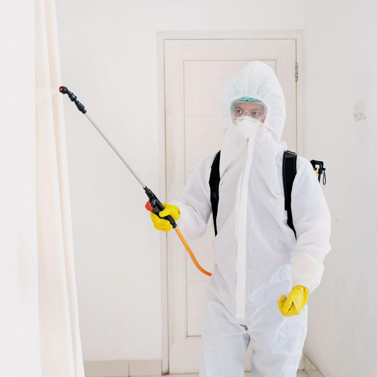 Professional Cleaning Services in Bristol for Sparkling Home