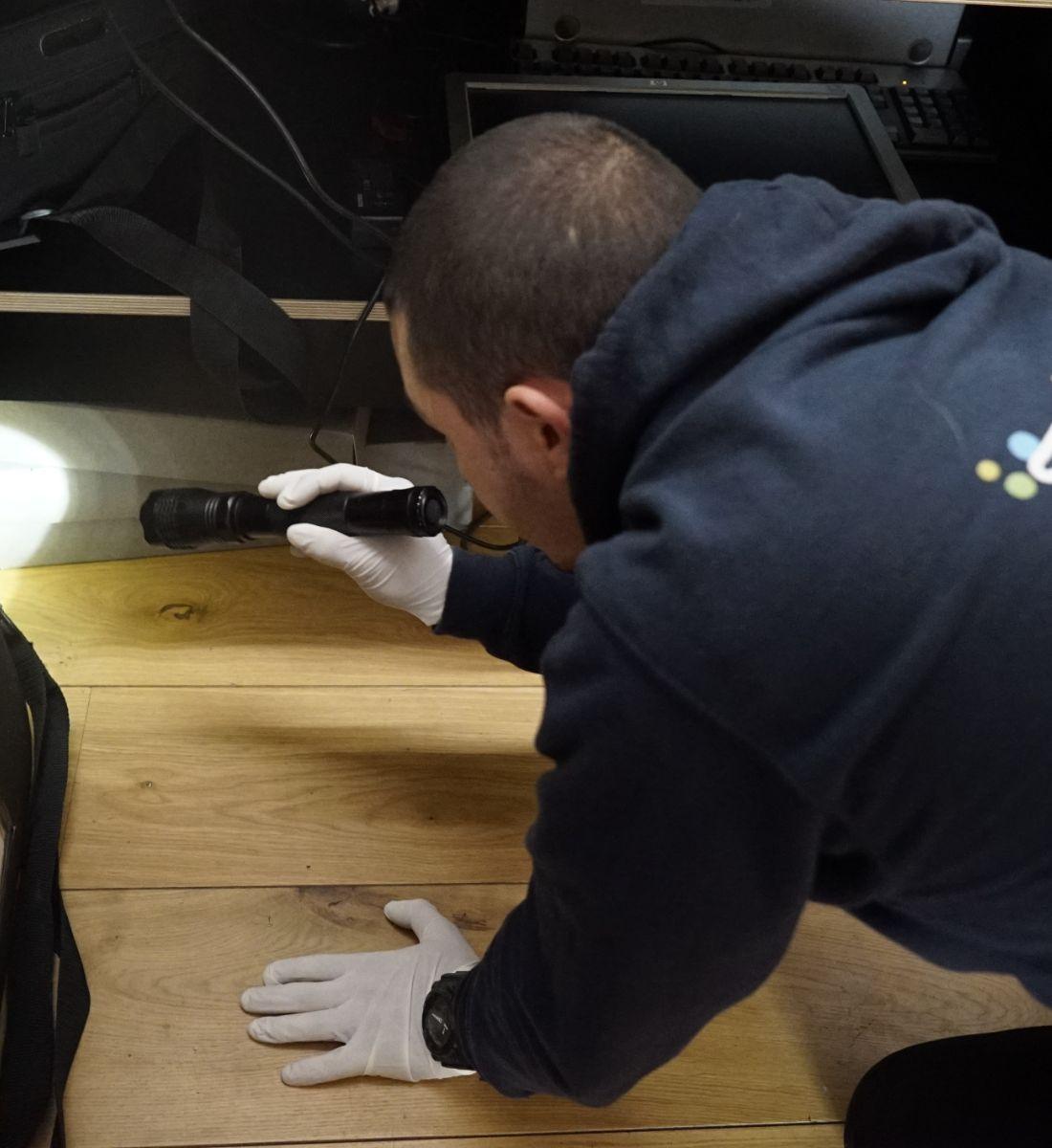 Expert Pest Control in Romford | Fantastic Services